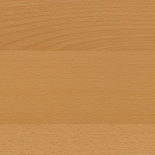Beech Texture
