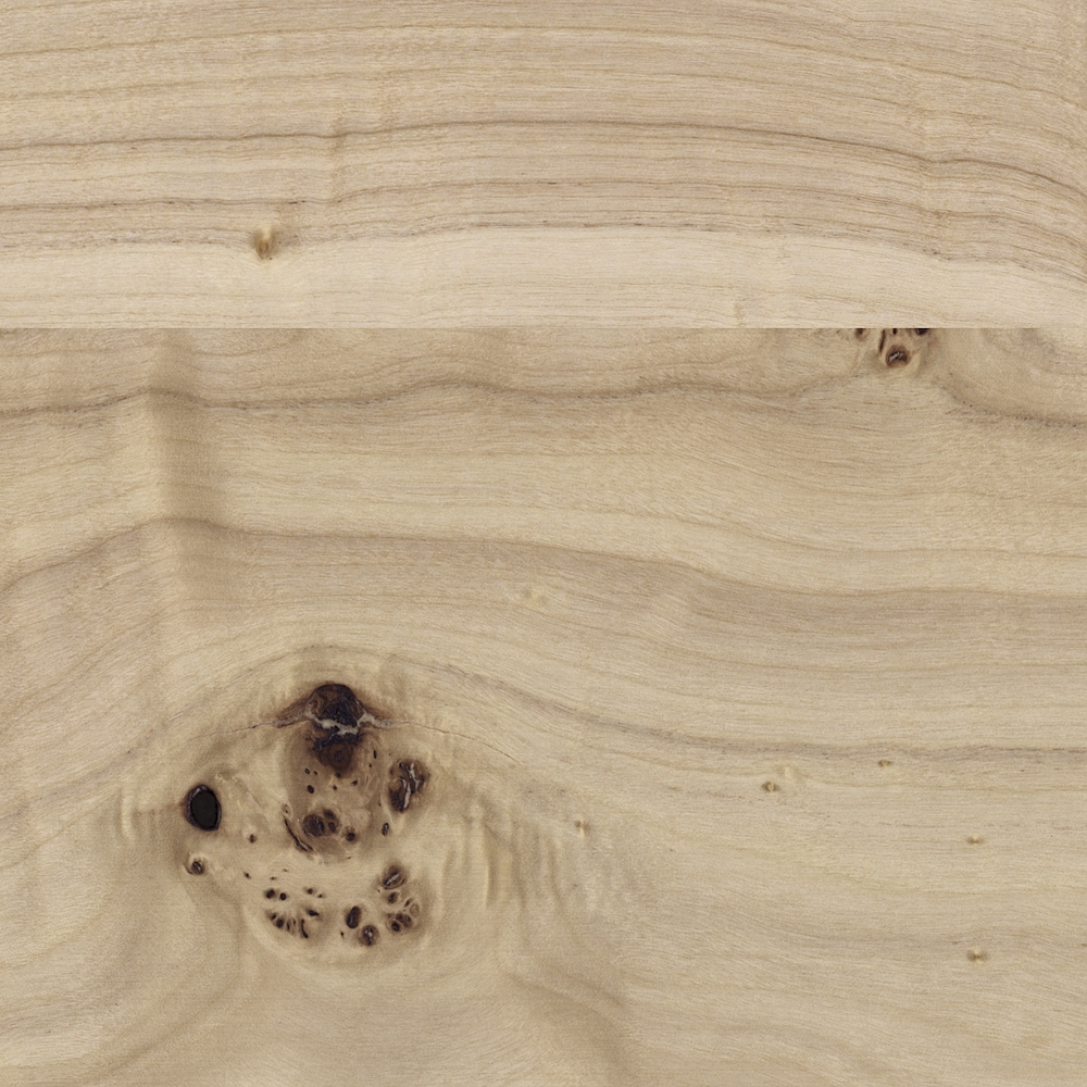 wood 033v2 - Arroway Textures