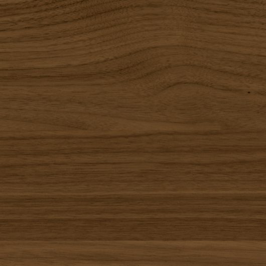 Black Walnut Wood Texture