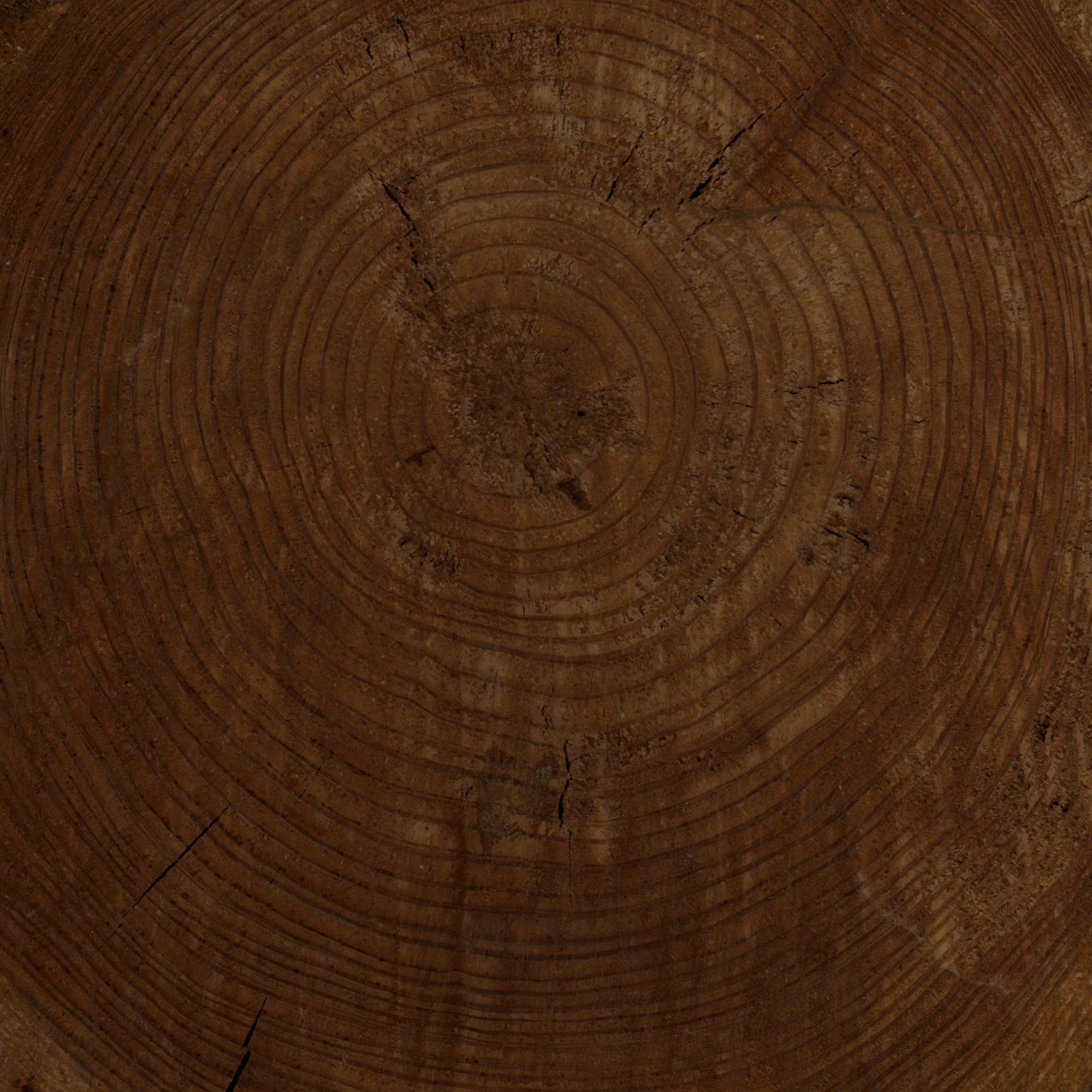 timber 017 - Arroway Textures