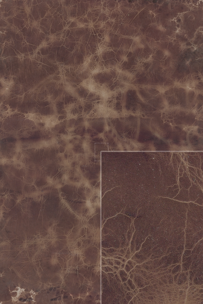 leather 005 - Arroway Textures