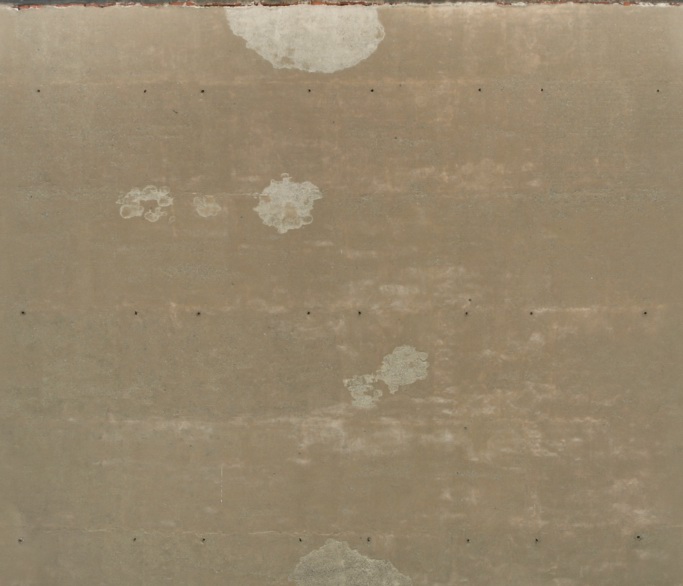 plaster 019 - Arroway Textures