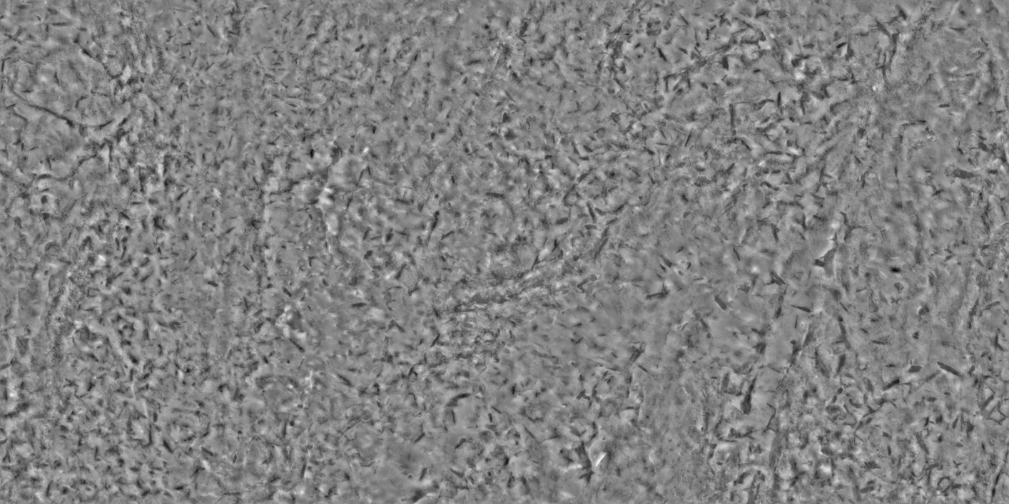 Seamless Mica Schist Stone Texture, Matrix (stone 022) - Arroway Textures