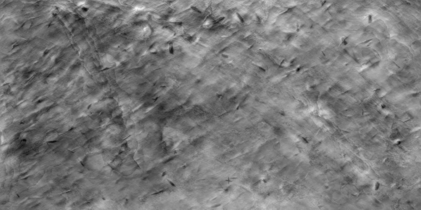 Seamless Mica Schist Stone Texture, Verde Gris 1 (stone 027) - Arroway ...