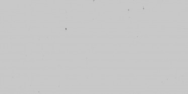 timber 004 - Arroway Textures