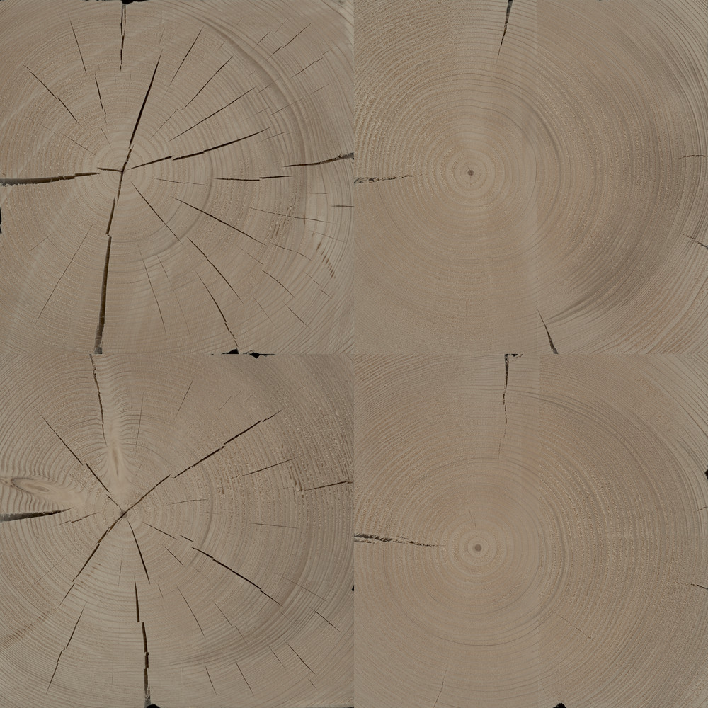 Sanded Spruce/Fir Endgrain Textures (timber 013) - Arroway Textures