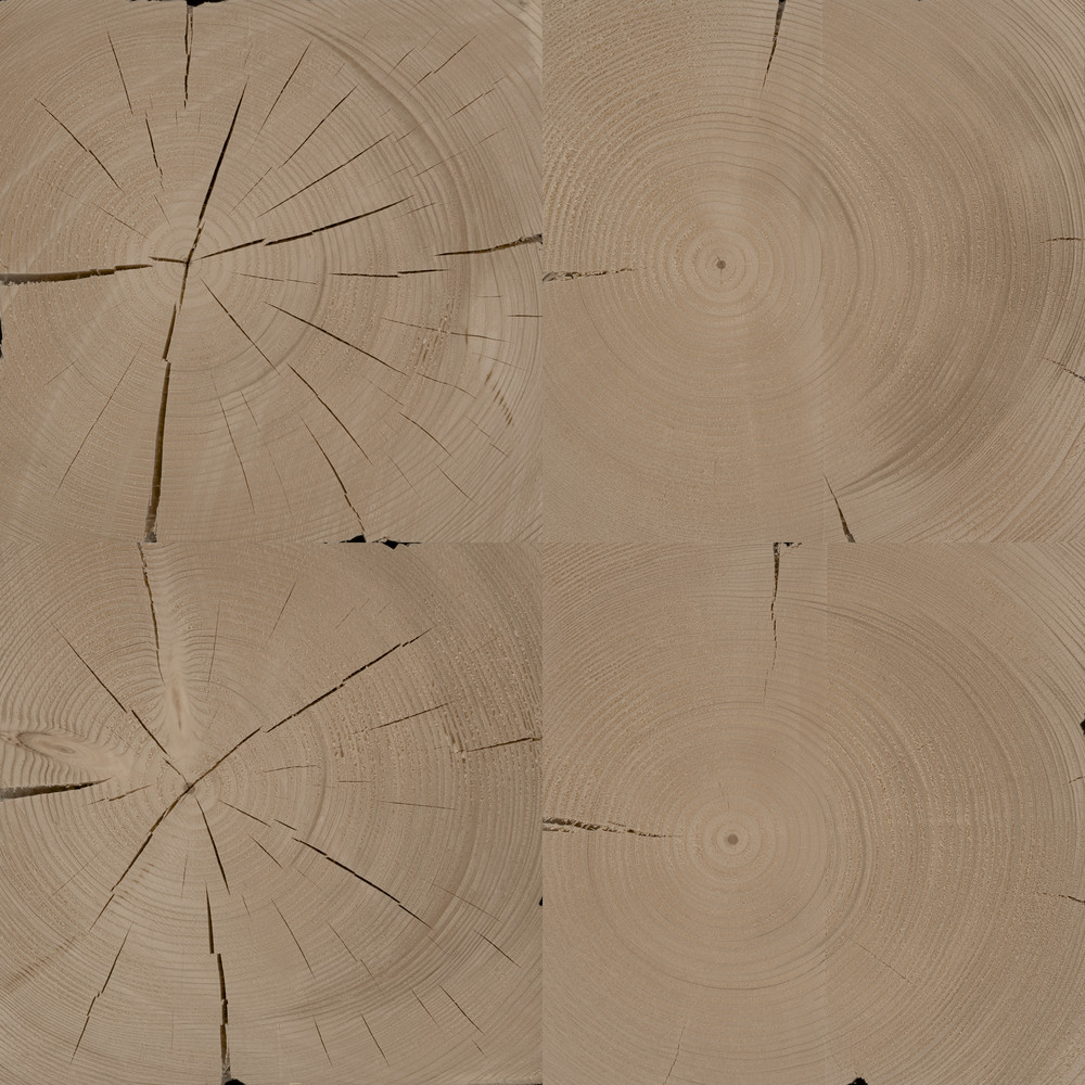Sanded Spruce/Fir Endgrain Textures (timber 013) - Arroway Textures