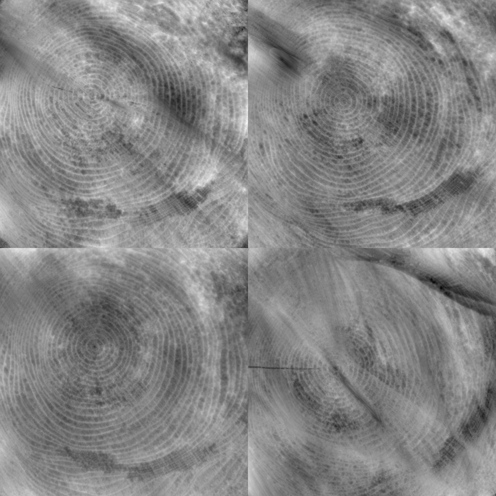 timber 015 - Arroway Textures