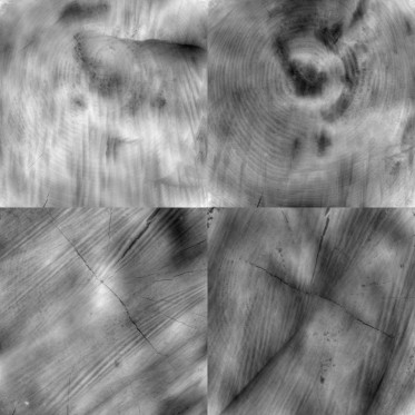 timber 017 - Arroway Textures