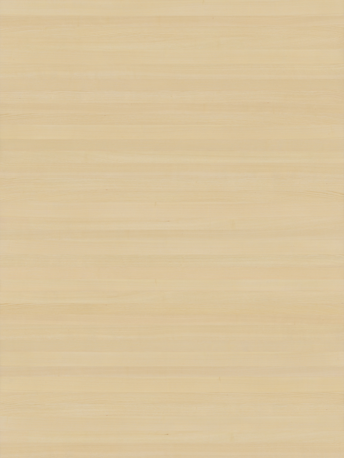 European Ash Veneer Texture (wood 003v2) - Arroway Textures