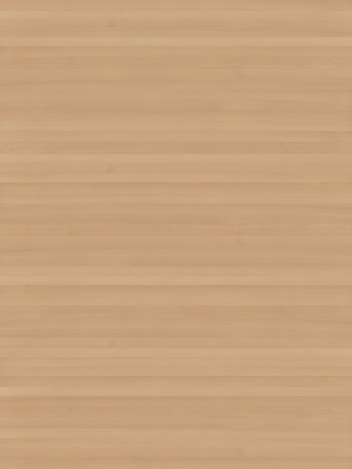European Beech Veneer Texture (wood 006v2) - Arroway Textures