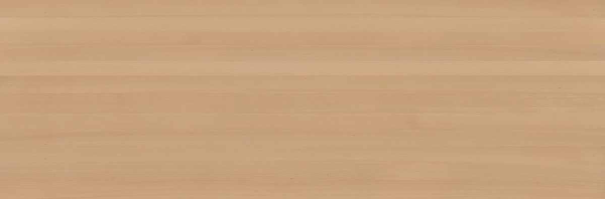 European Beech Veneer Texture (wood 006v2) - Arroway Textures
