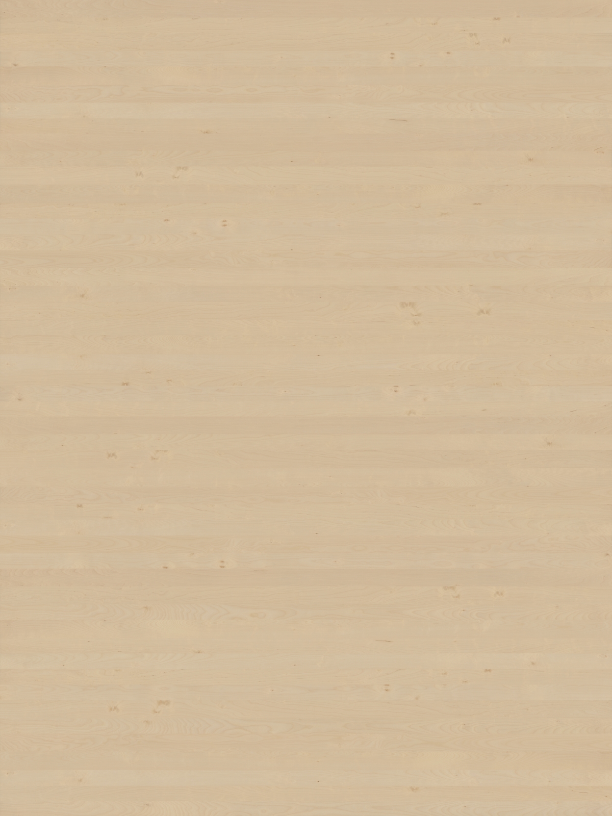 European Birch Veneer Texture (wood 010v2) - Arroway Textures
