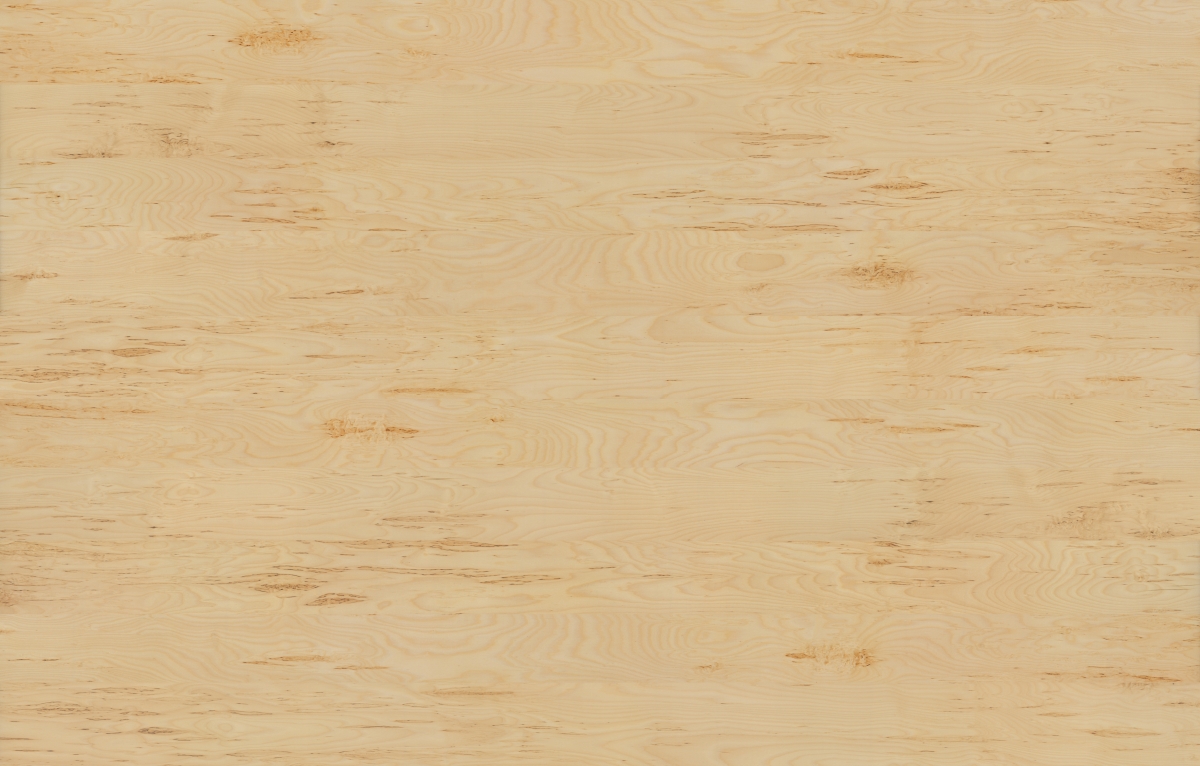 Masers Birch Veneer Texture (wood 012v2) - Arroway Textures