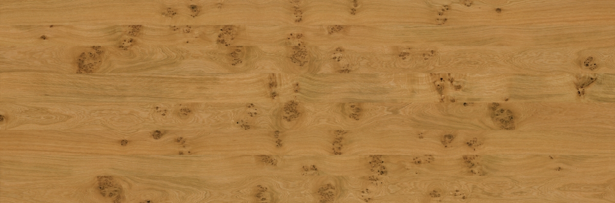 Knot Oak Veneer Texture (wood 027v2) - Arroway Textures