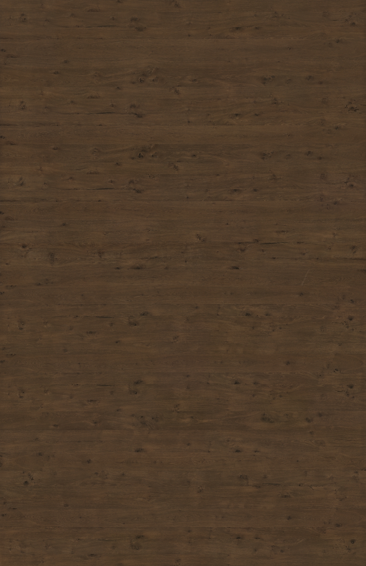 wood 028v2 - Arroway Textures