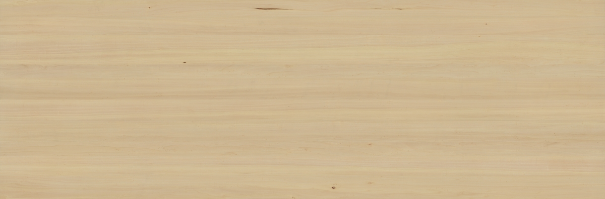 Black Poplar Veneer Texture (wood 032v2) - Arroway Textures