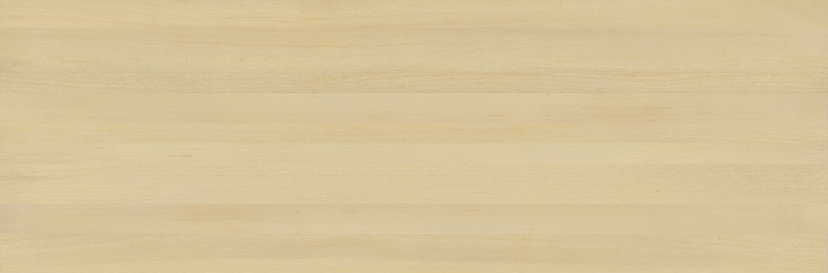 White Afara Veneer Texture (wood 046v2) - Arroway Textures