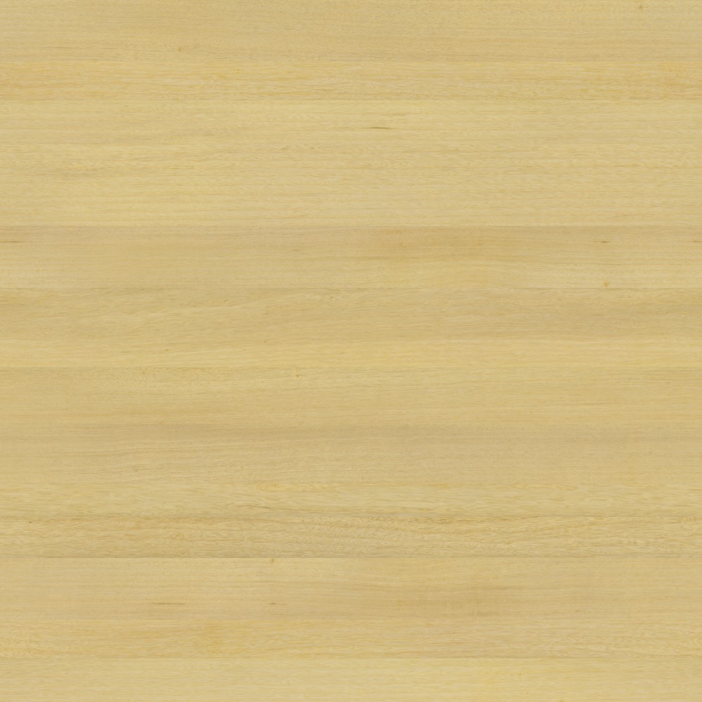White Afara Veneer Texture (wood 046v2) - Arroway Textures